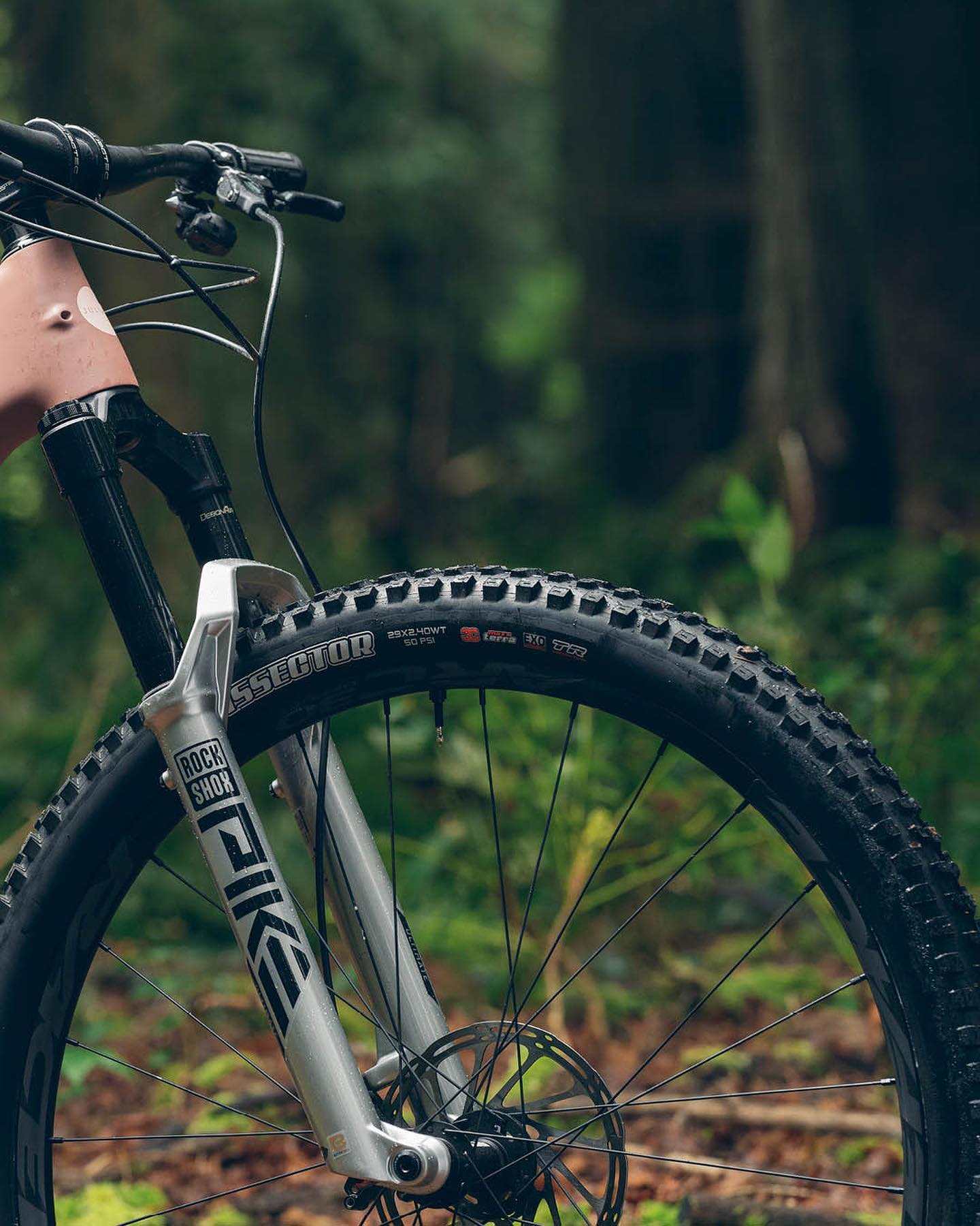 Rockshox – Bikeaholic