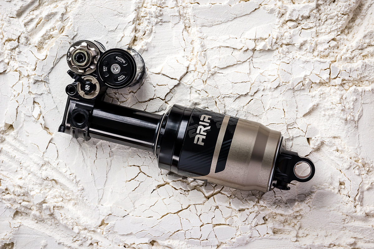 EXT Suspension – Bikeaholic