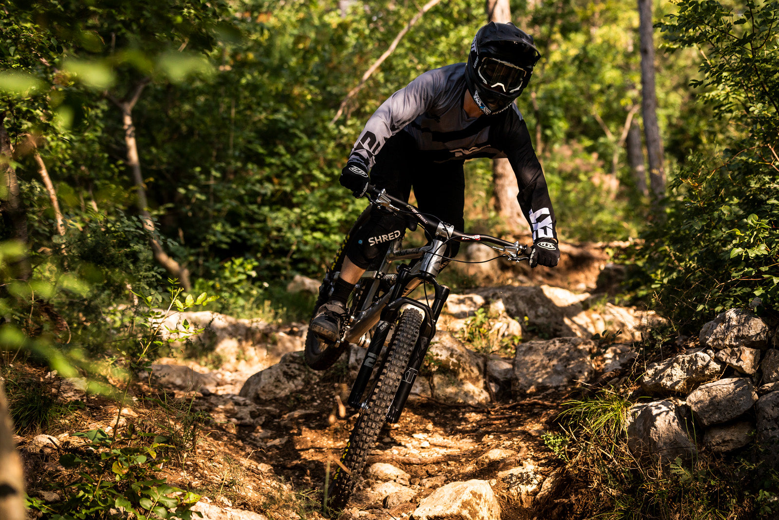 EXT Suspension – Bikeaholic