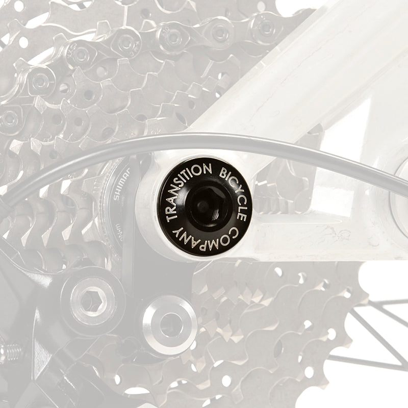Transition Hanger Retention Bolt – Bikeaholic